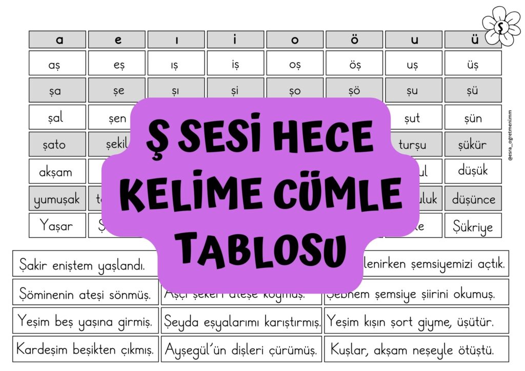 Ş Sesi Hece Kelime Cümle Tablosu