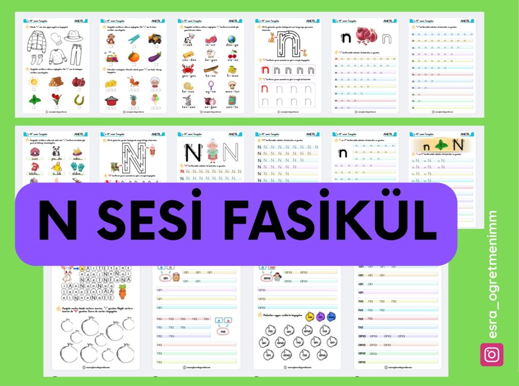 N Sesi Fasikül